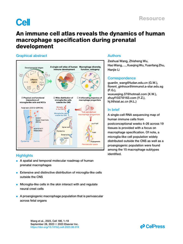 An Immune Cell Atlas Reveals The Dynamics of Human Macrophage Specification During Prenatal ...