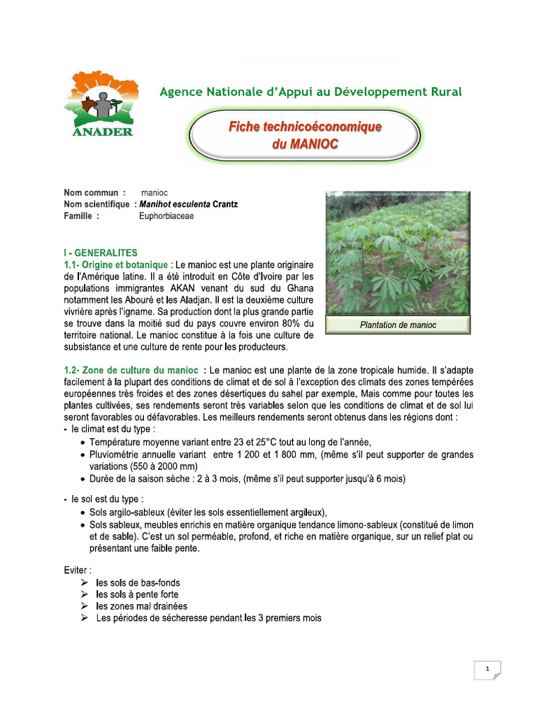 Manioc | PDF