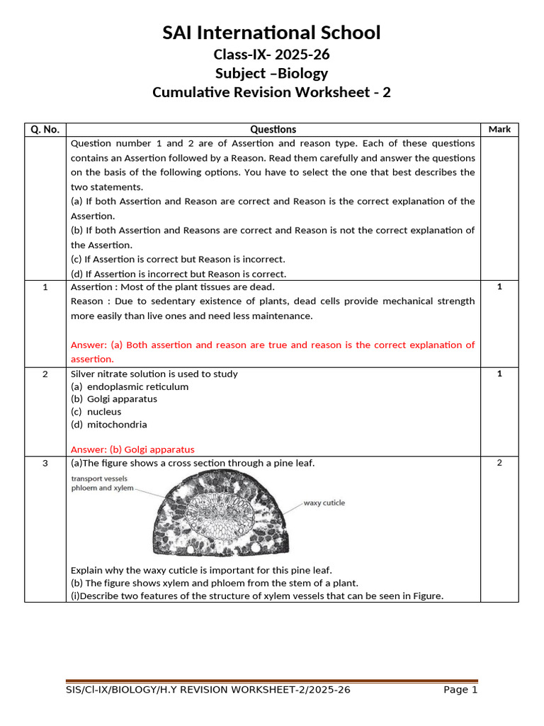 CL Ix, Bio Hy Rev WKSHT 2 Ms 2025 26 | PDF | Cell Nucleus | Cell (Biology)
