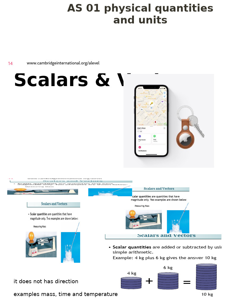 Scalars and Vectors Explained | PDF | Euclidean Vector | Quantity