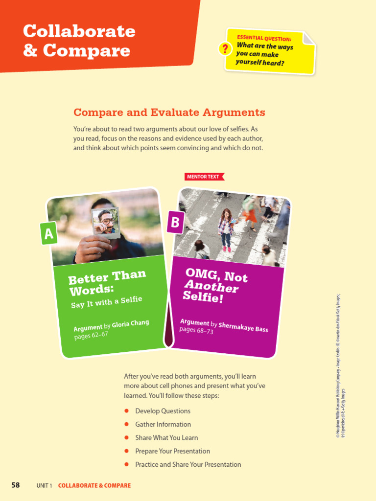 Evaluating Selfie Arguments | PDF | Selfie | Argument