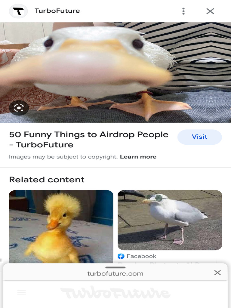 Funny Thing To Airdrop. - Google Search | PDF