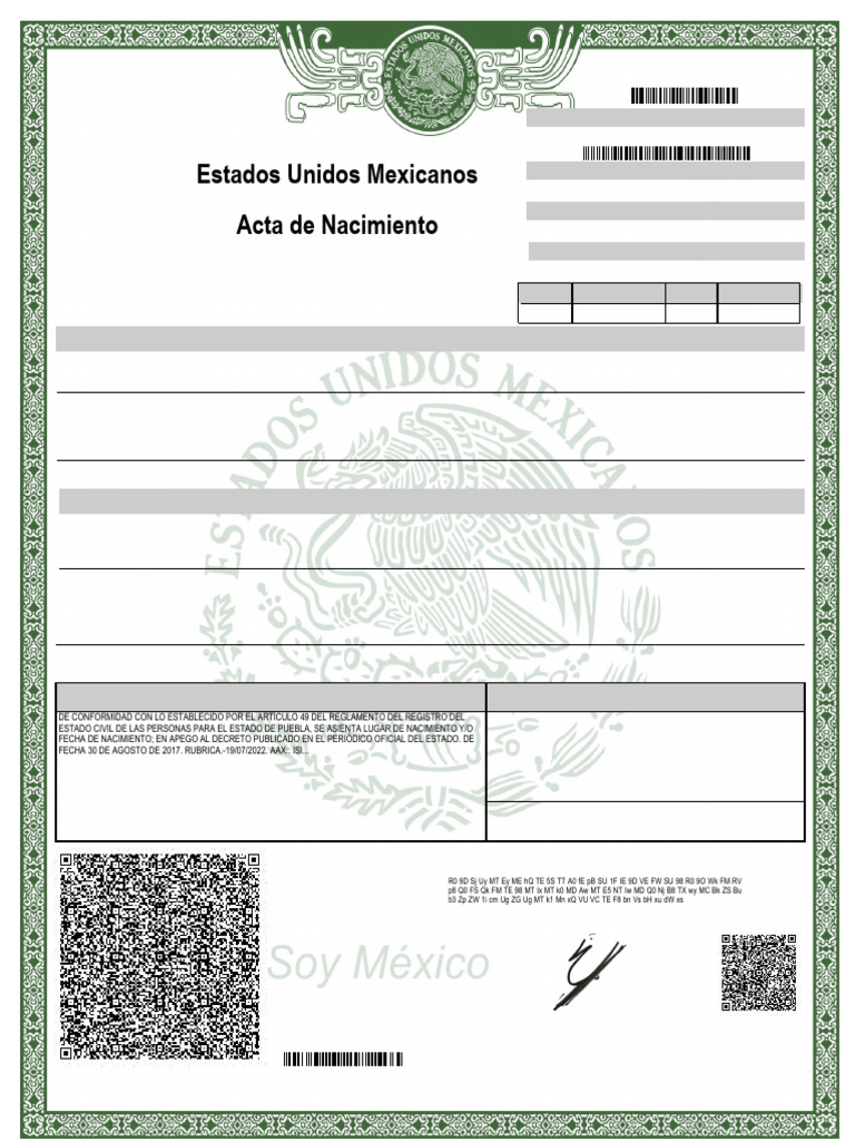Acta Nacimiento | PDF | Privacidad | Control de acceso
