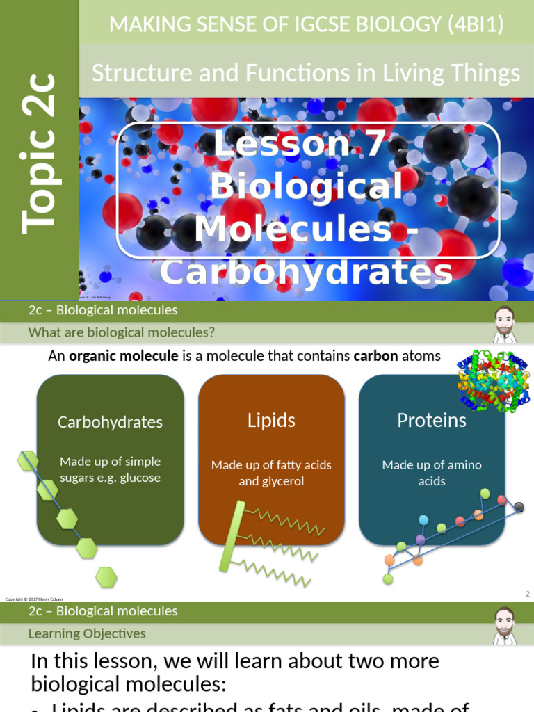 Carbohydrates and Lipids in Biology | PDF | Lipid | Fat