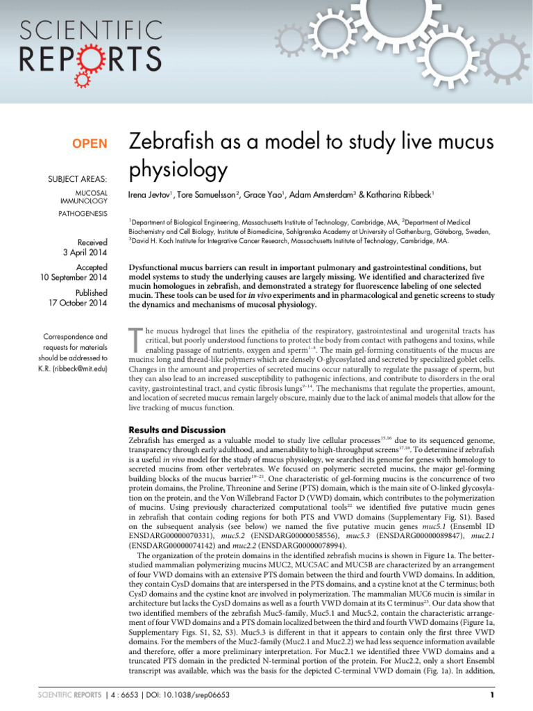 Zebrafish Mucins: A Live Physiology Model | PDF | Complementary Dna ...