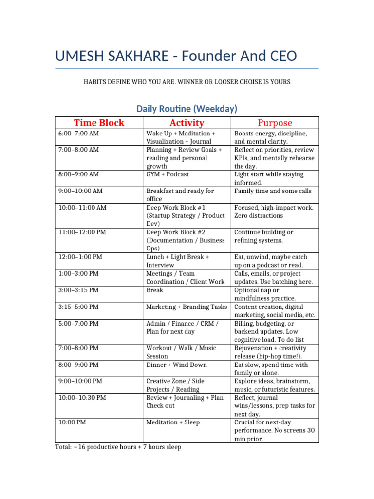 CEO Style Daily Schedule | PDF | Time Management | Professional Skills