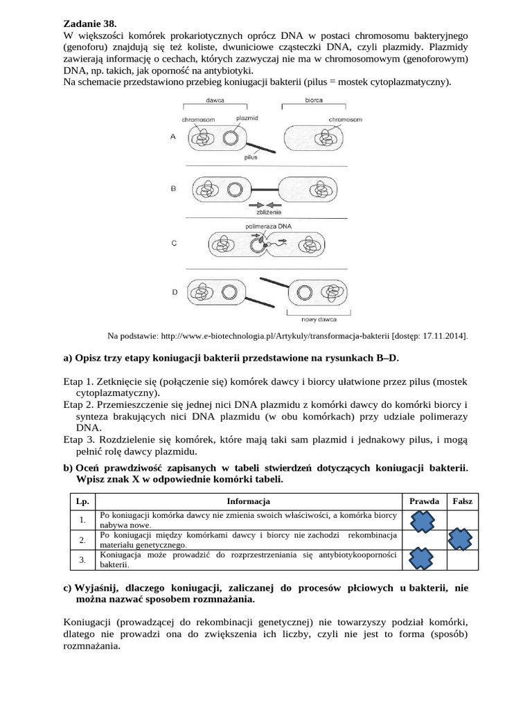 Wirusy Bakterie Protisty Zadania | PDF