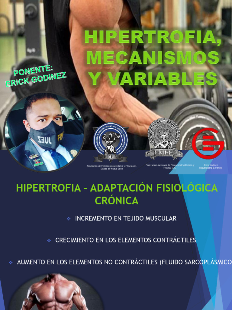 Hipertrofia Muscular: Mecanismos y Estrategias | PDF | Músculo