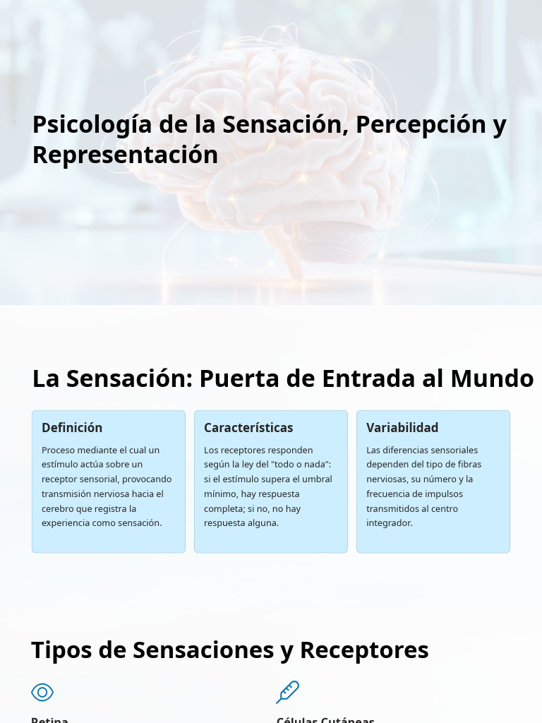 Senso Percepción | PDF | Percepción | Sentidos