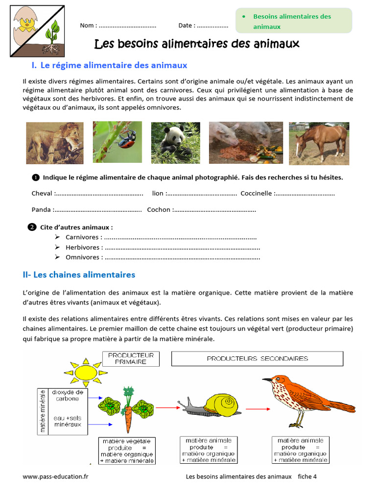 Besoins alimentaires des animaux expliqués | PDF | Herbivore | Réseau ...