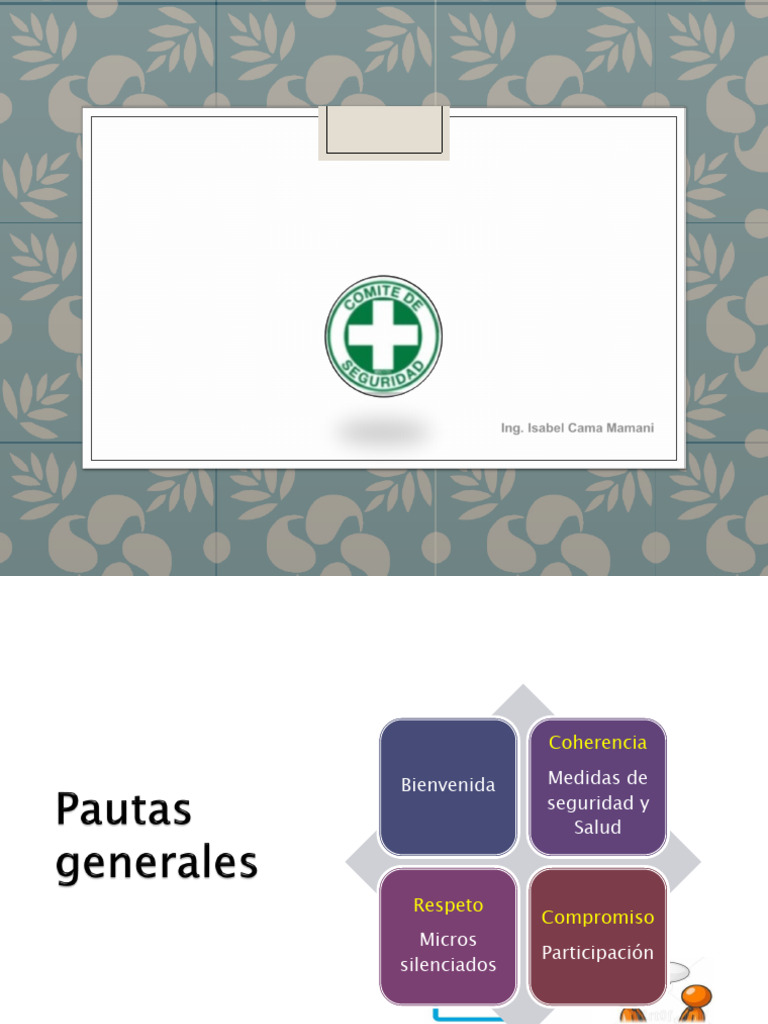 Leccion Comite de Seguridad y Salud en El Trabajo | PDF | Seguridad y ...