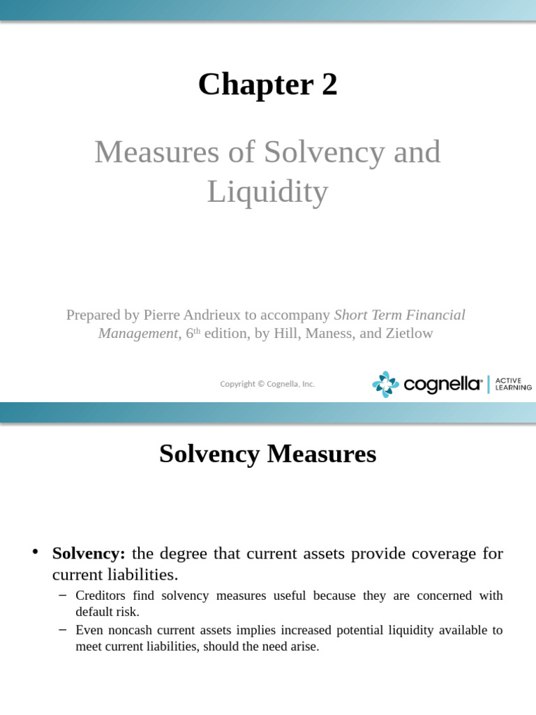 Chapter 2 Solvency Measure J 6th Edition by Mannes and Zietlow | PDF ...