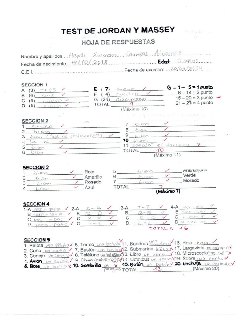 Administración Del Jordan y Masey - Cristina Ibazeta Robles | PDF