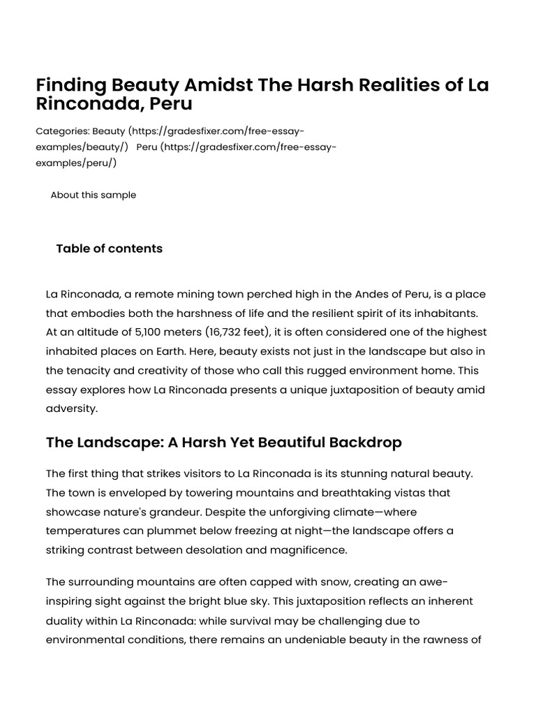 Finding Beauty Amidst The Harsh Realities of La Rinconada, Peru ...