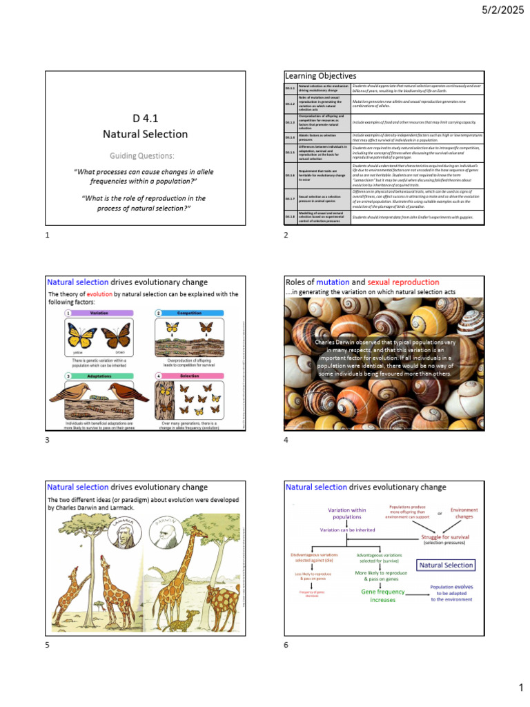 Understanding Natural Selection Factors | PDF | Natural Selection ...