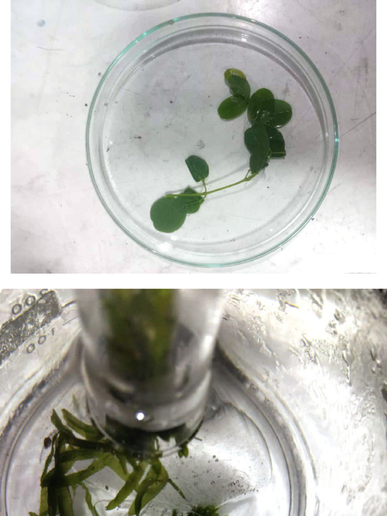 OneRead 20251010 2347 | PDF