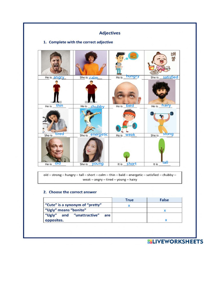 Asynchronous Worksheet | PDF