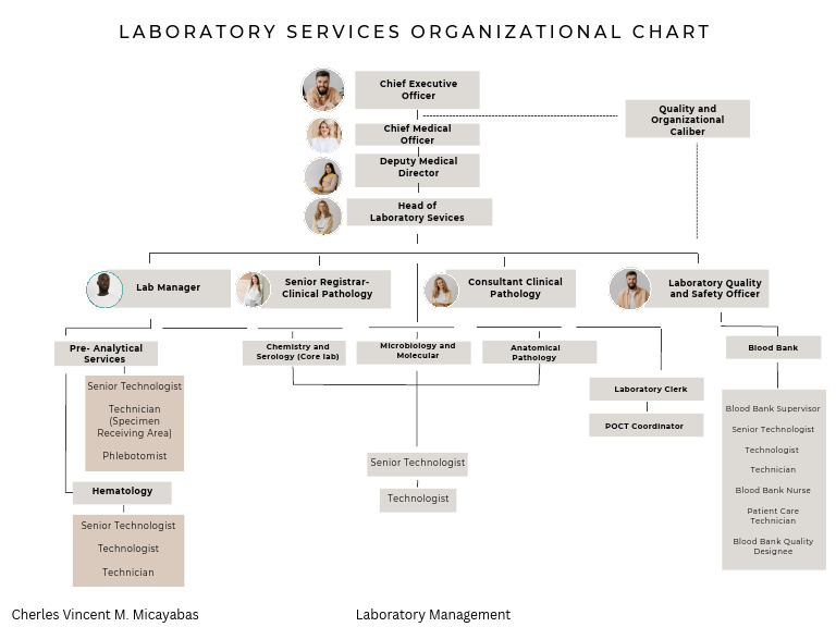 Laboratory Services Organizational Chart | PDF | Pathology | Clinical ...
