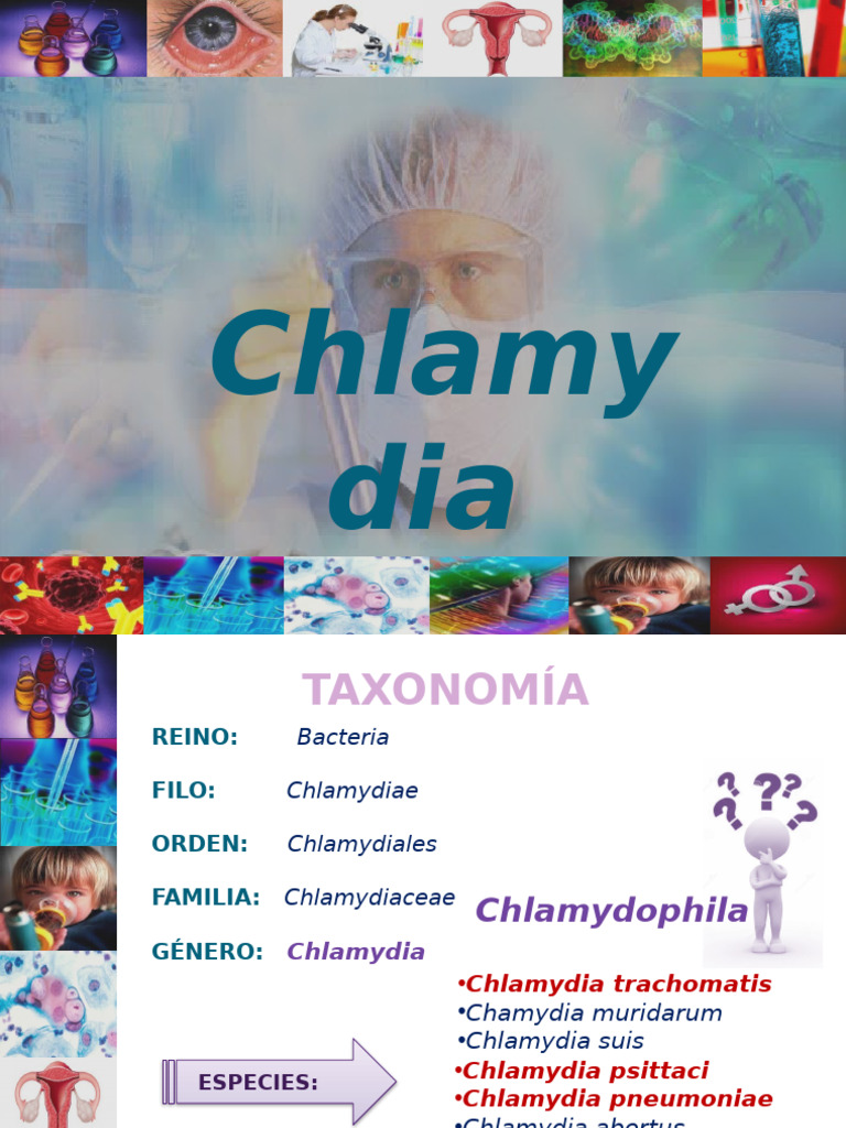Características y Diagnóstico de Chlamydia | PDF | Inmunología ...