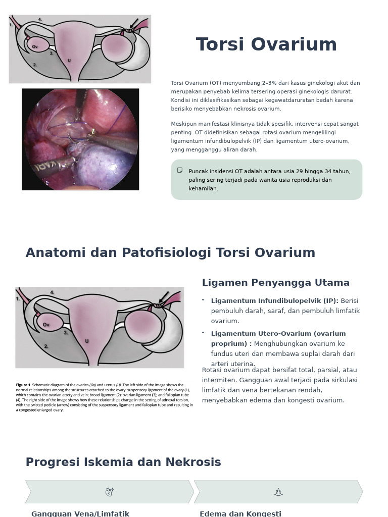 Torsi Ovarium: Gejala, Risiko, dan Diagnosis | PDF