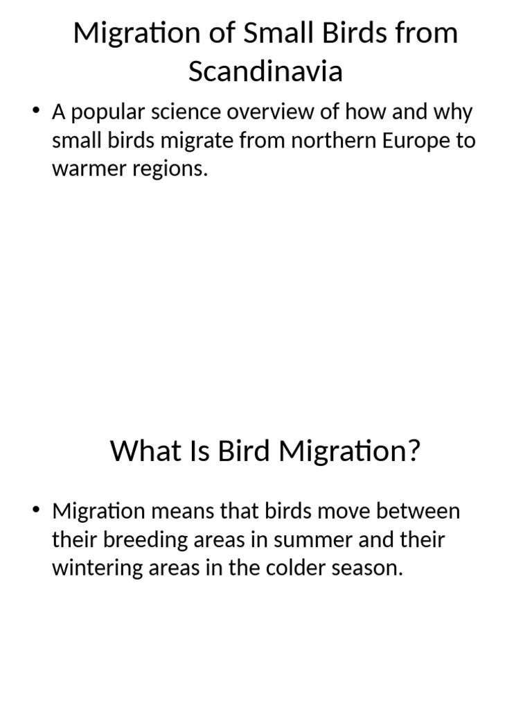 Small Birds Migration Presentation | PDF