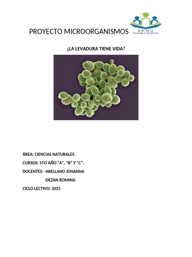 Proyecto de Microorganismos | PDF | Microorganismo | Laboratorios