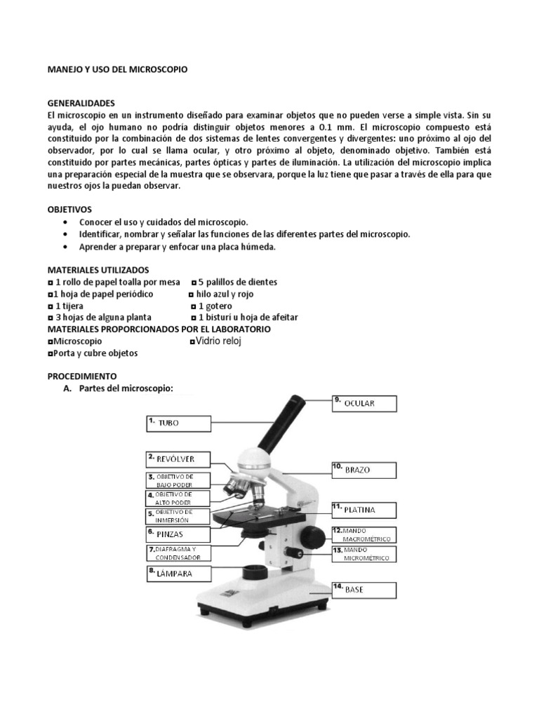 Partes y Manejo del Microscopio | PDF | Radiación electromagnética | Óptica