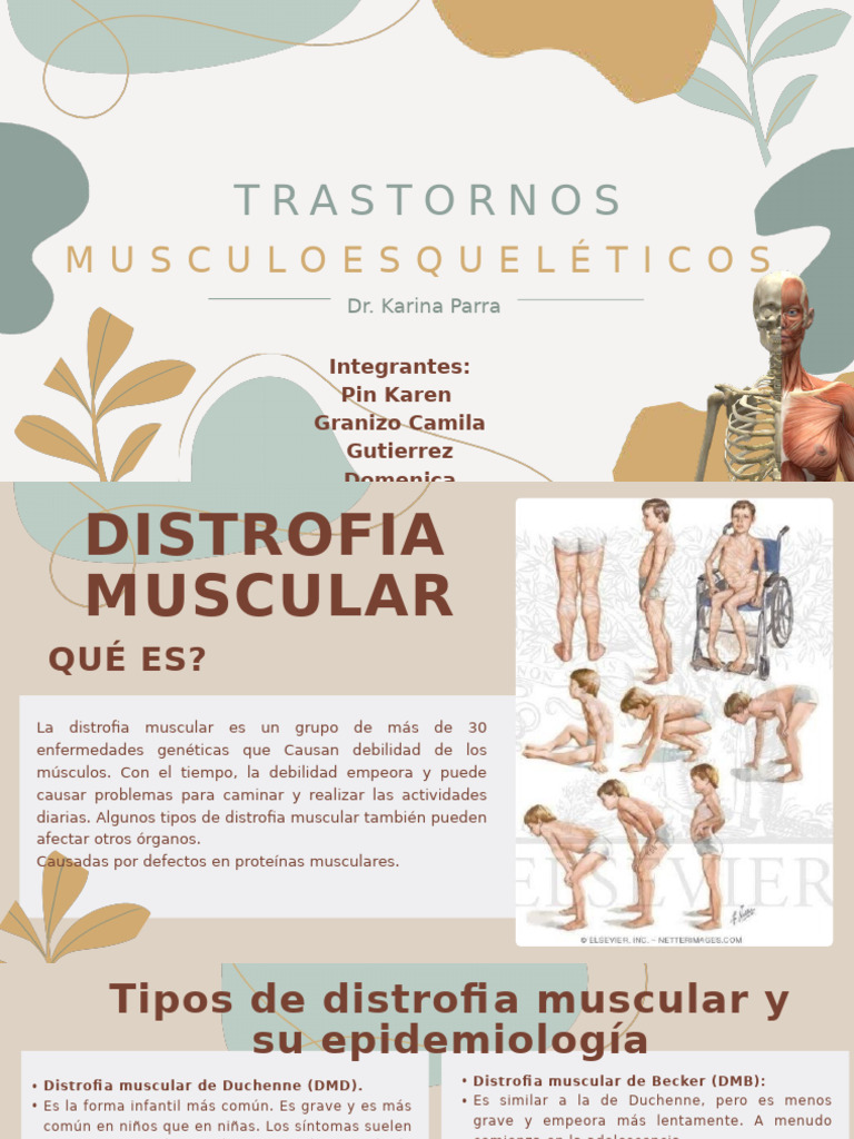 Distrofias Musculares | PDF | Pie | Escoliosis
