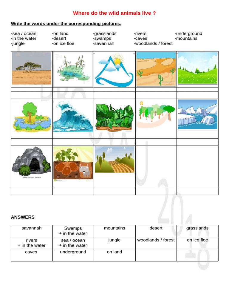 Wild Animal Habitats Explained | PDF