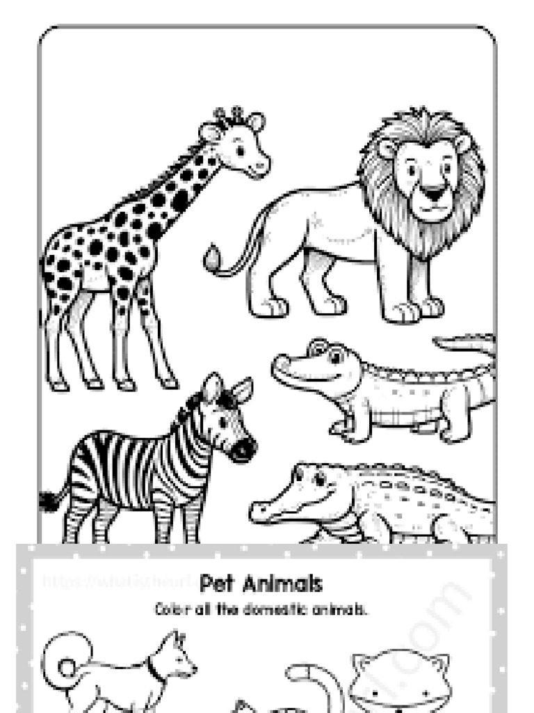 Liam Animals | PDF