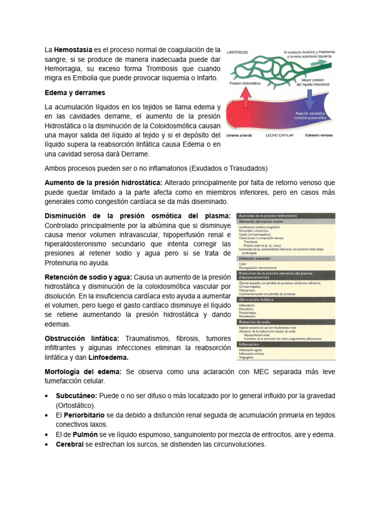 Hemostasia y Edema: Procesos y Trastornos | PDF | Plaqueta | Coagulación