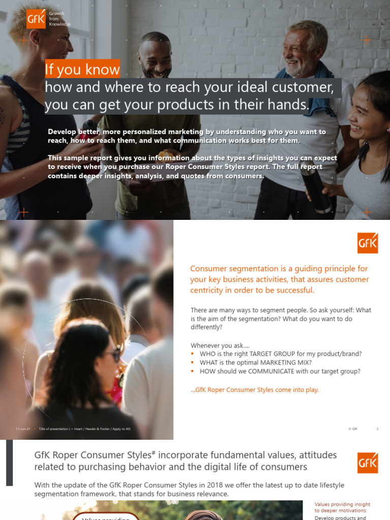 GfK Roper Consumer Styles Overview | PDF | Target Audience | Market ...