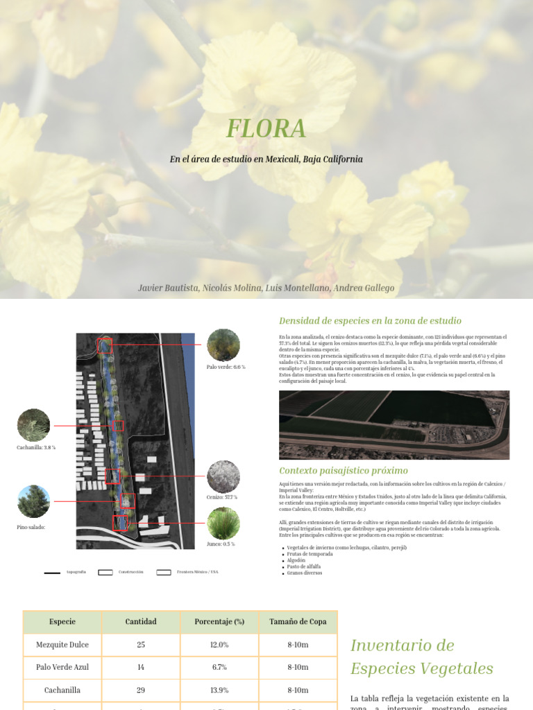 Flora y Fauna de Mexicali, BC | PDF | Polinizadores | Flores