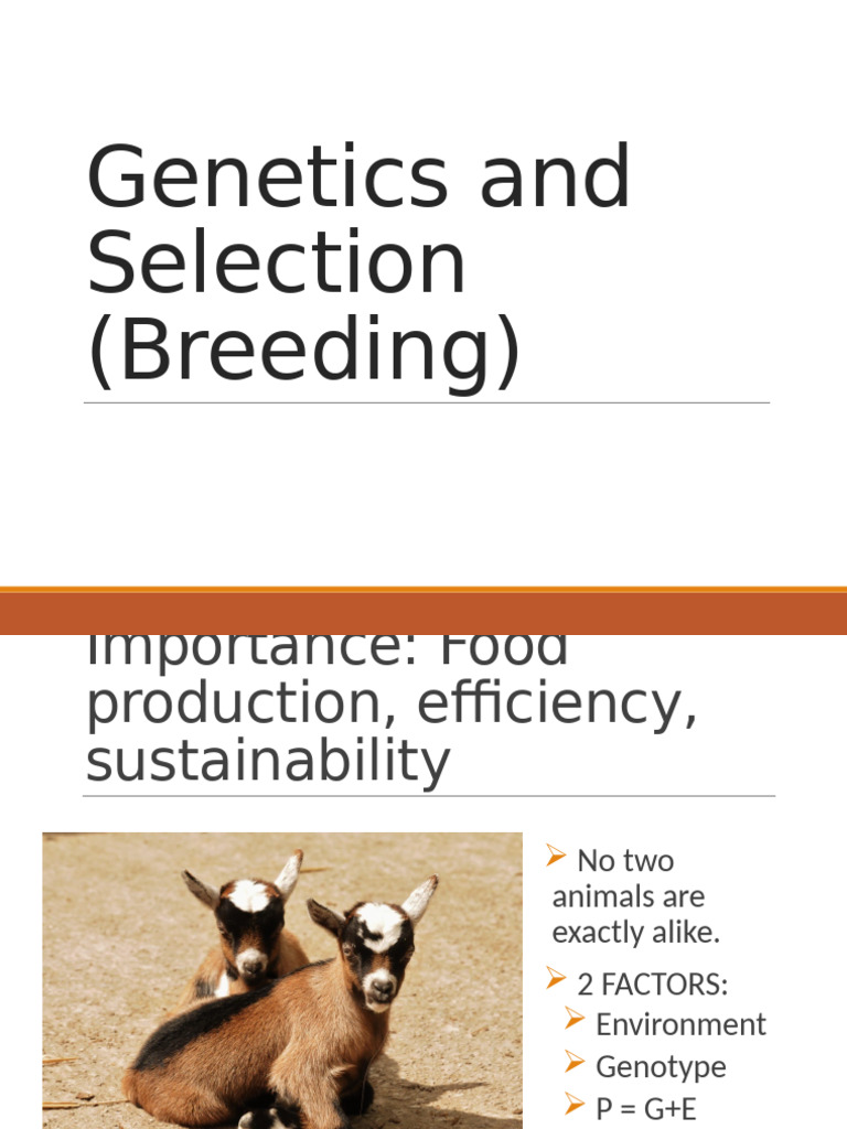 Genetics and Breeding | PDF | Dominance (Genetics) | Genotype