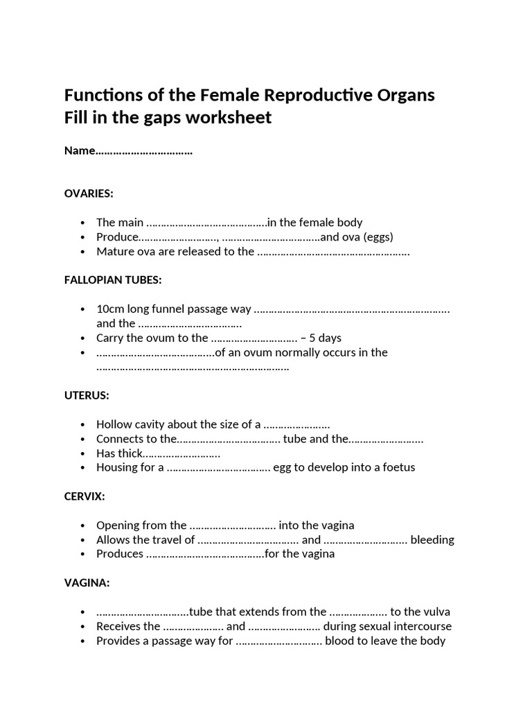 Female Reproductive Organs Fill in The Gaps Worksheet | PDF