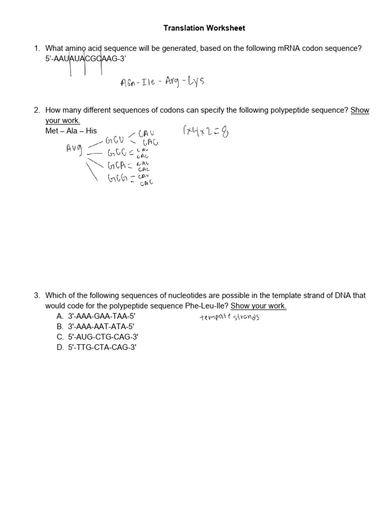 Topic 6 - Translation Worksheet | PDF