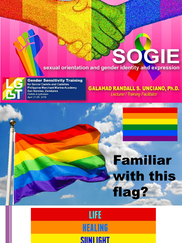 Training On "Sexual Orientation, Gender Identity, and Expression (SOGIE) " | PDF | Gender ...