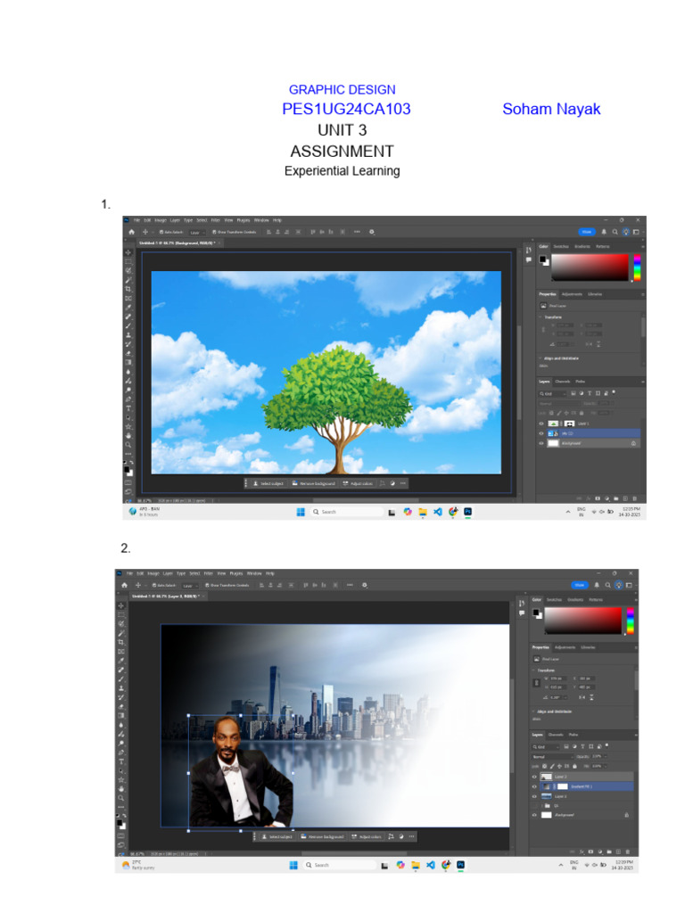 Graphic Design Experiential Learning Assignment | PDF