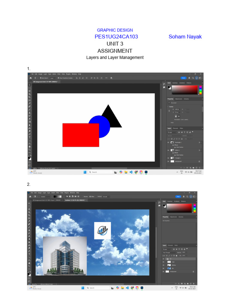 Layer Management in Graphic Design | PDF