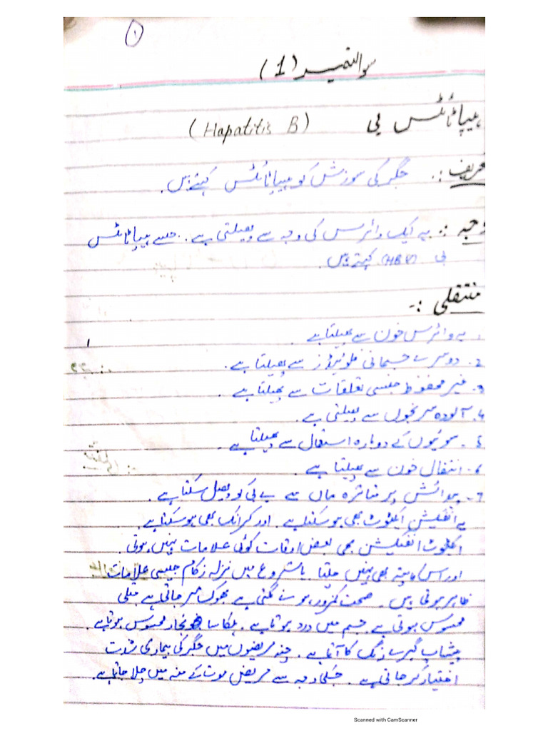 1st Years Notes | PDF