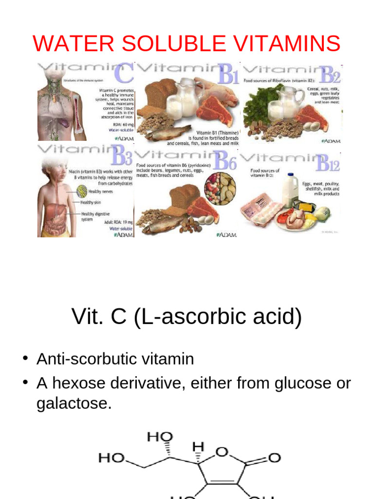 Essential Water Soluble Vitamins Guide | PDF | Vitamin | Organic Compounds