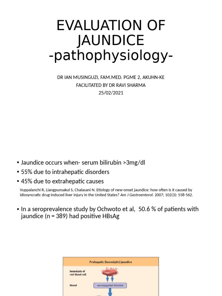 Pathophysiology of JAUNDICE | PDF