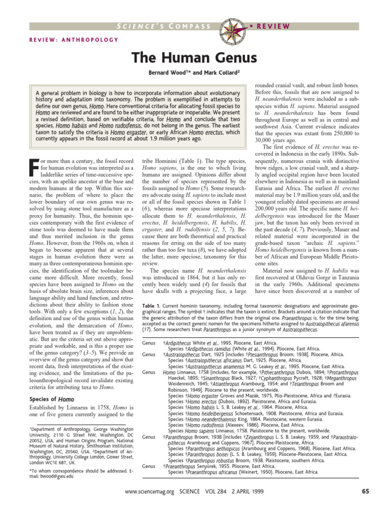The Human Genus | PDF | Homo | Hominini