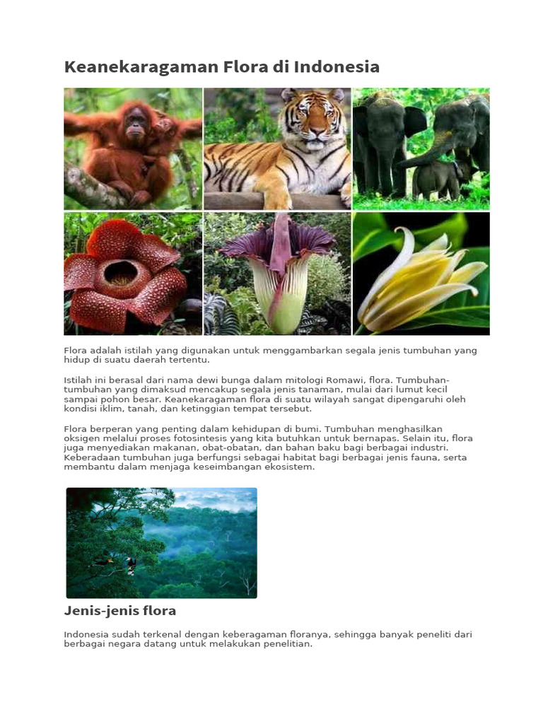 Keanekaragaman Flora Di Indonesia | PDF