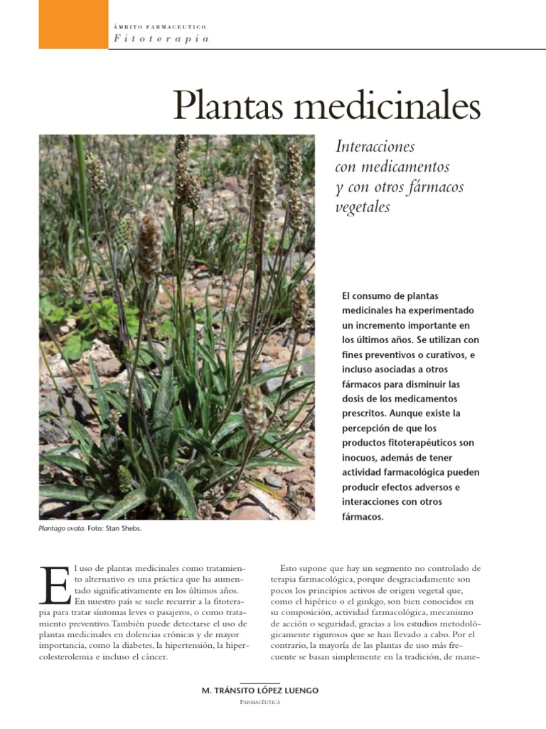 Interacciones entre plantas medicinales y otros fármacos