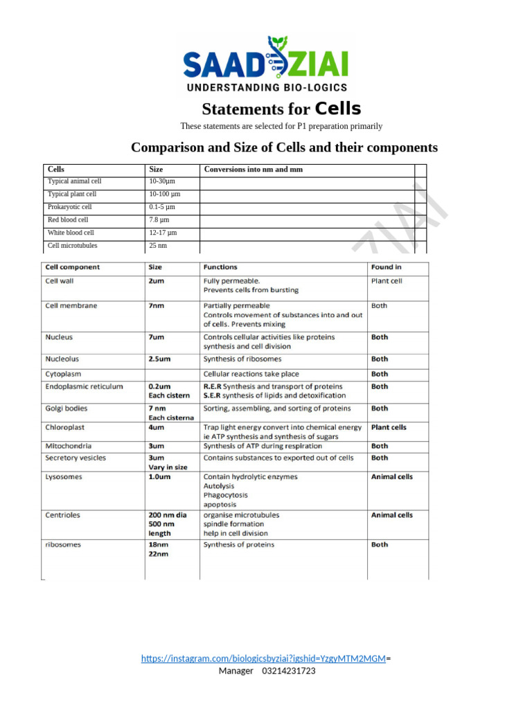 Cell Structure Statements | PDF | Cell (Biology) | Ribosome