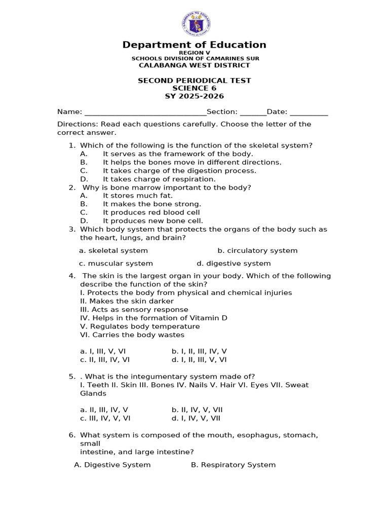 SCIENCE Second Quarter Exam 2023 2024 | PDF | Human Body | Respiratory ...
