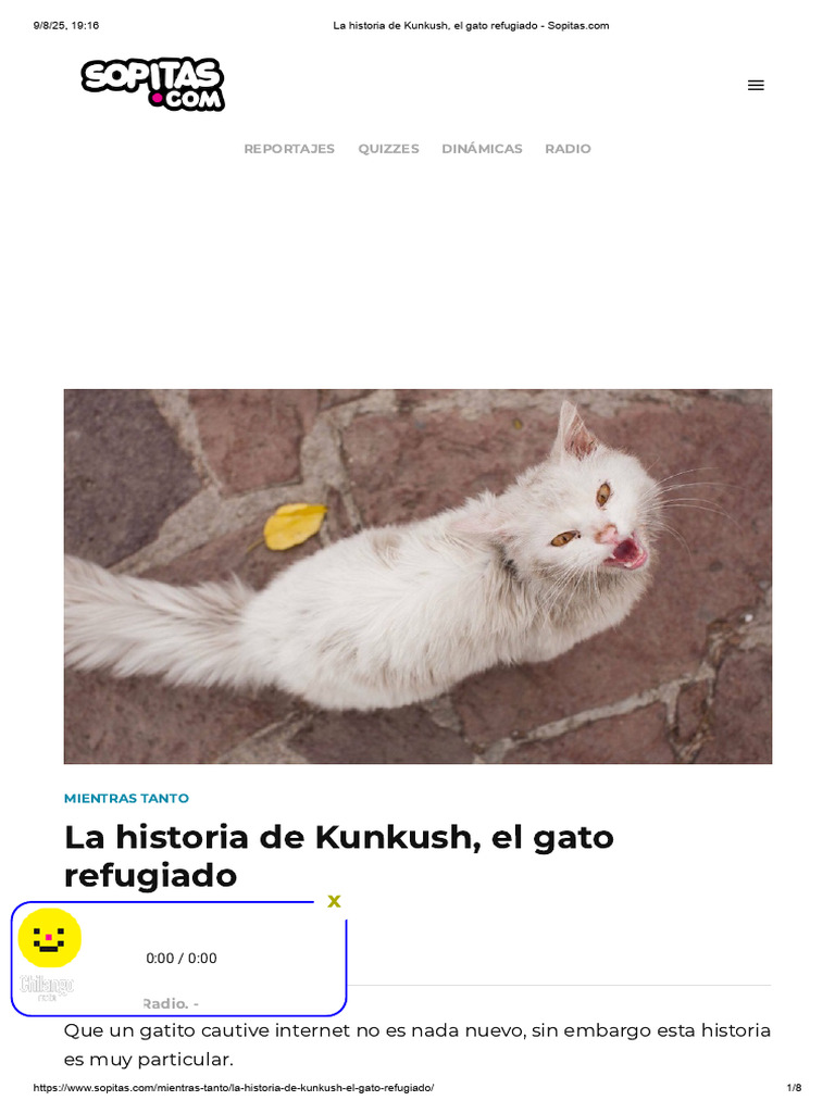 Kunkush: El gato refugiado que volvió | PDF