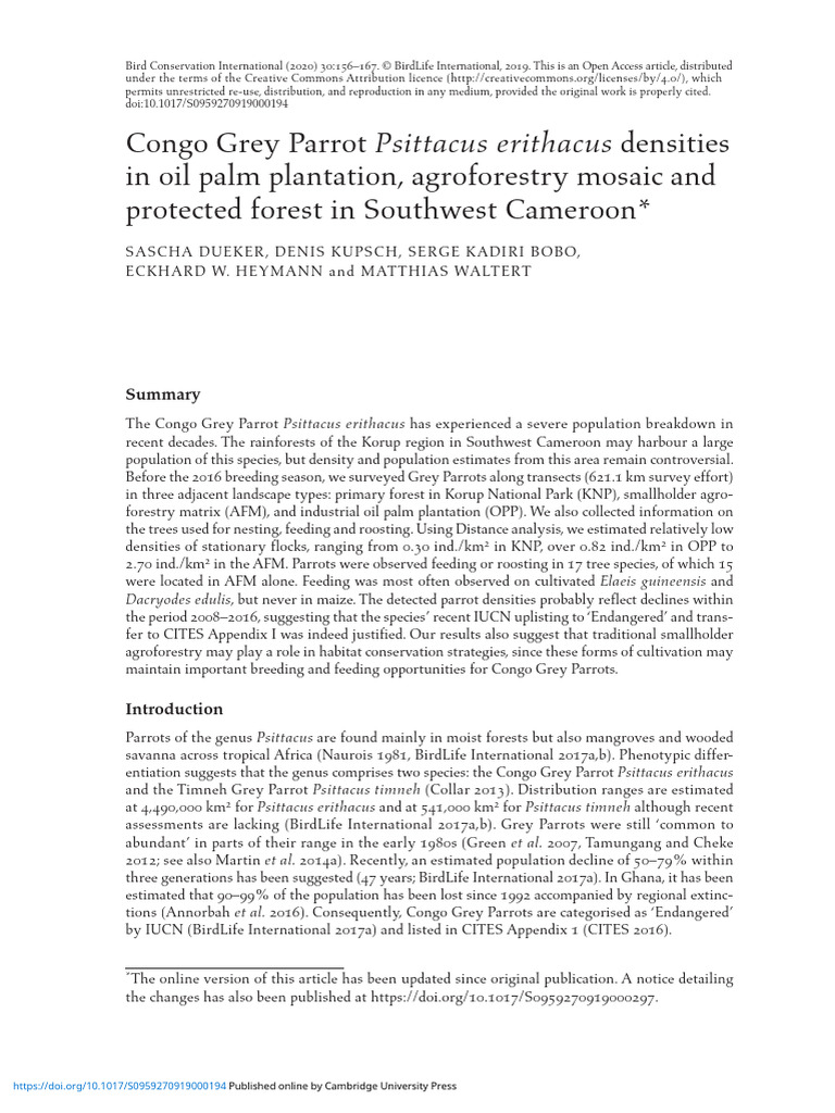 Congo Grey Parrot Psittacus Erithacus Densities in Oil Palm Plantation ...