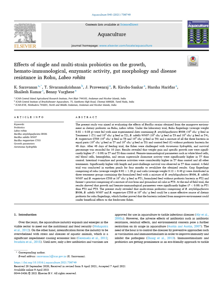 Multistrain On Rohu | PDF | Bacillus | Bacteria